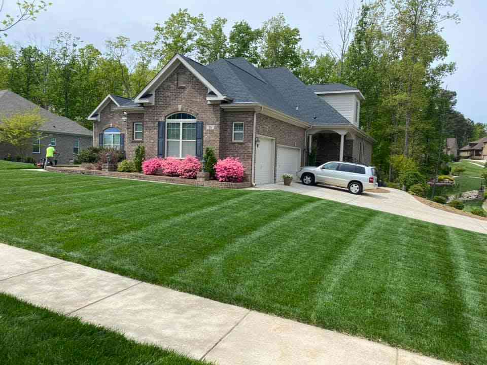 Yellow Jacket - Brick Flower Beds