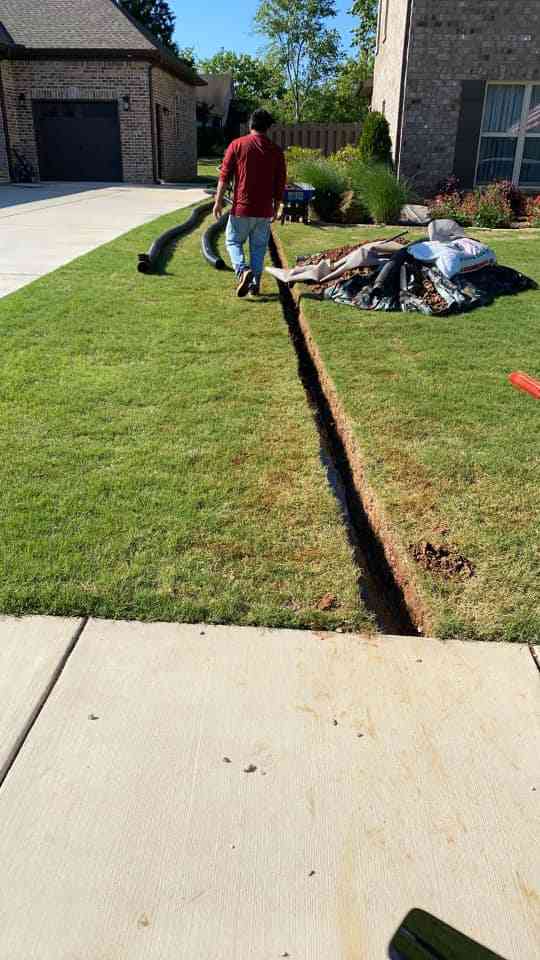 Yellow Jacket - Gallery