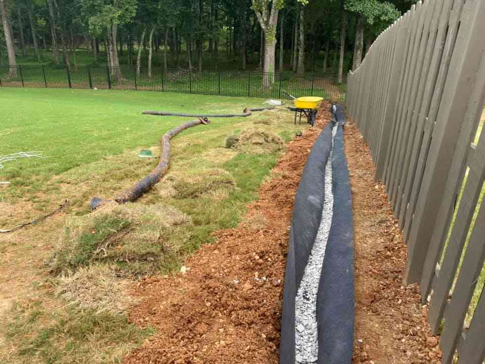 Yellow Jacket - Gallery