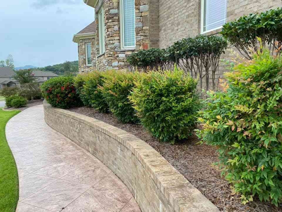 Yellow Jacket - Retaining Wall