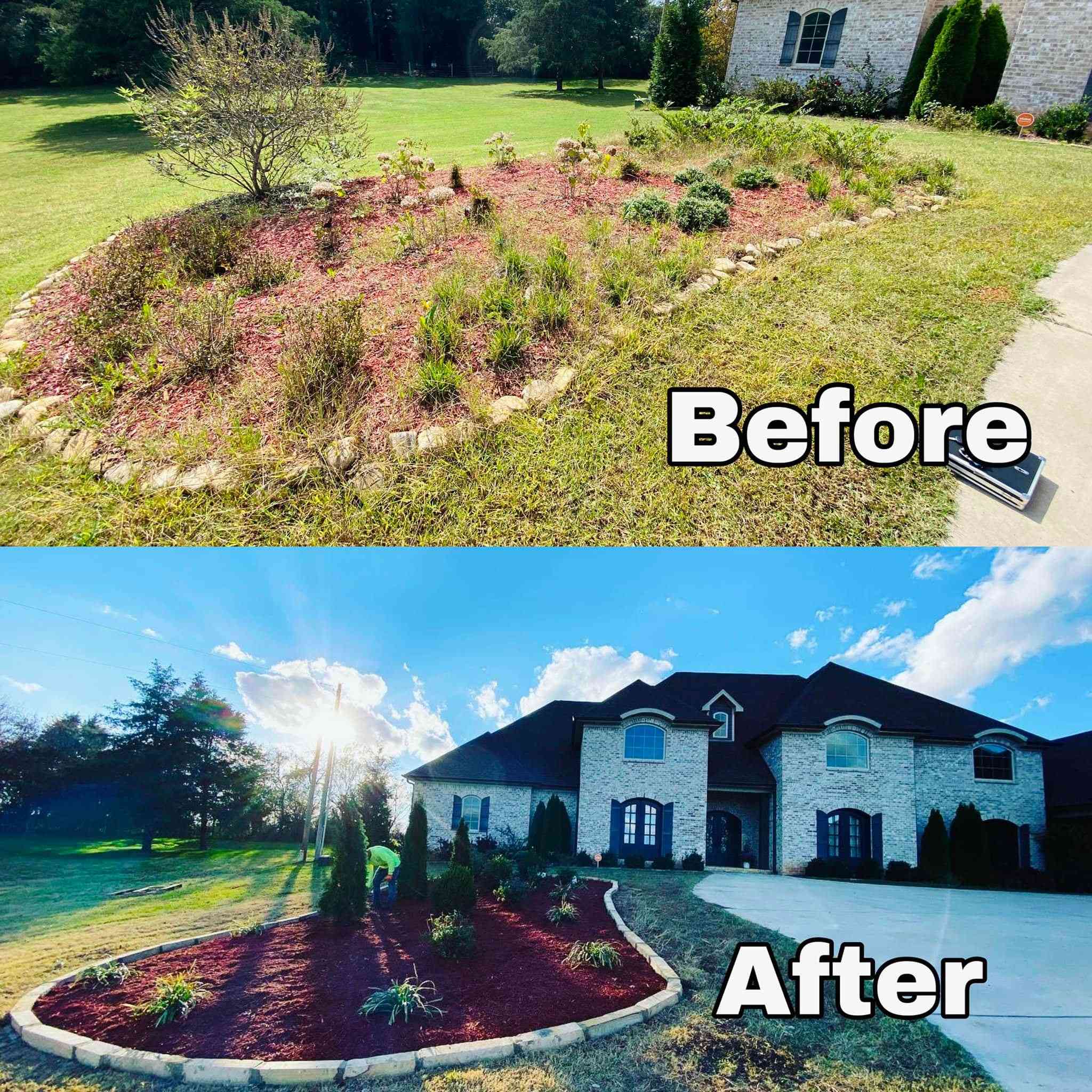 Yellow Jacket - Gallery