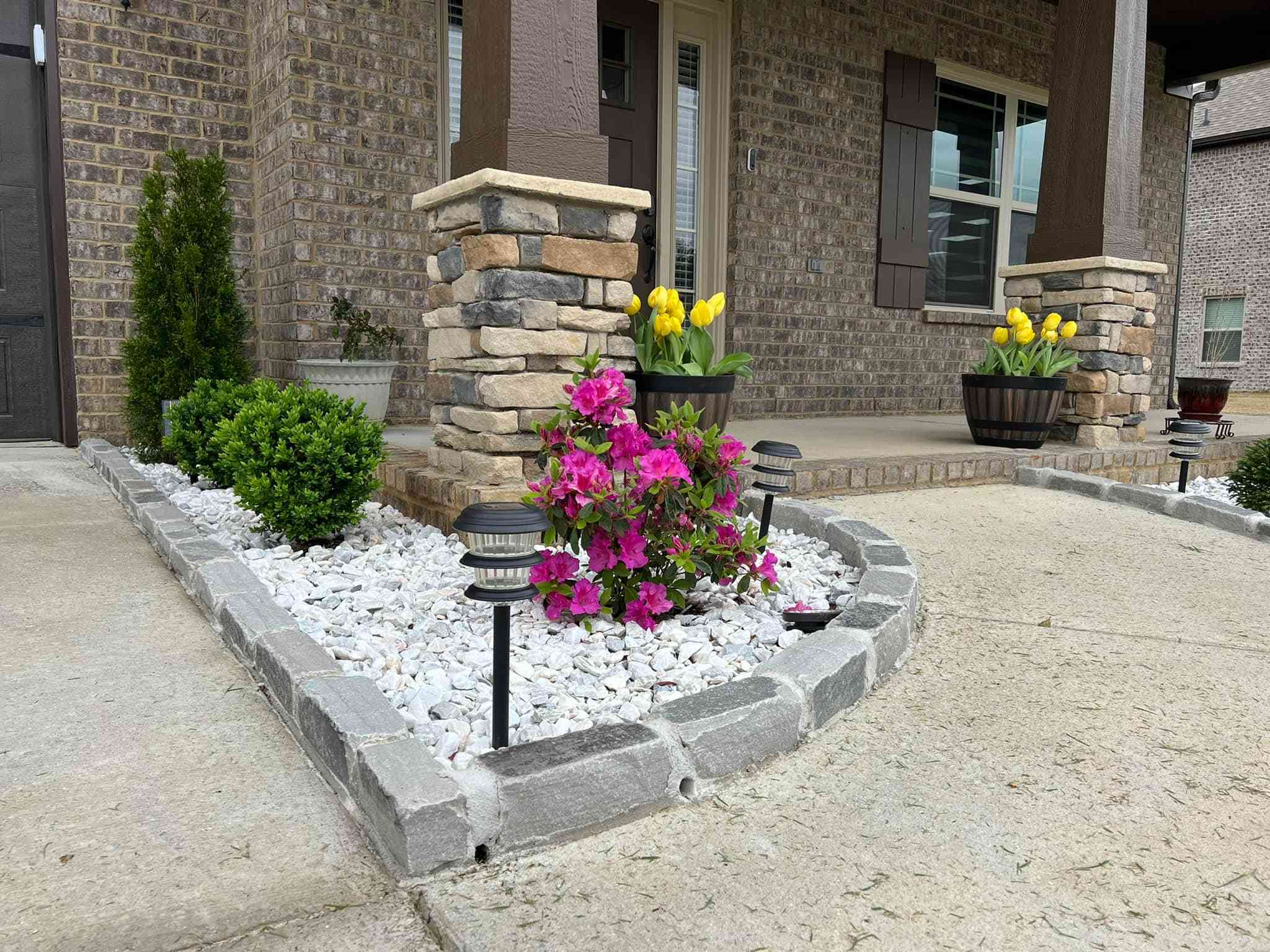 Yellow Jacket - Gallery