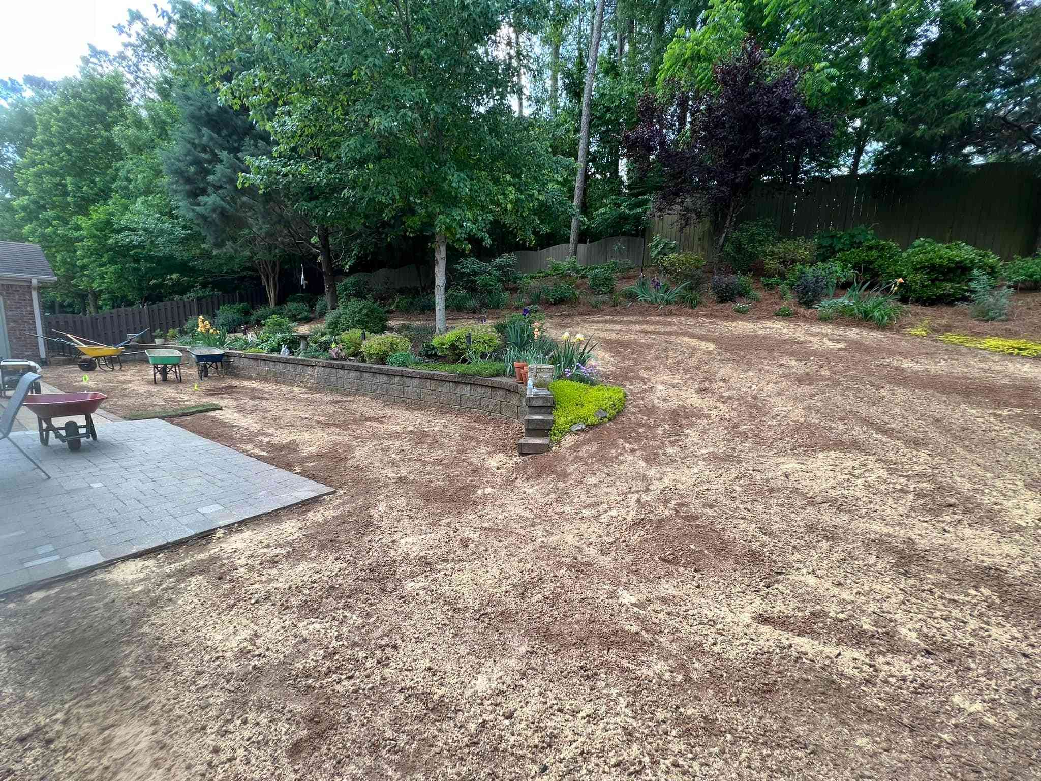 Yellow Jacket - Gallery