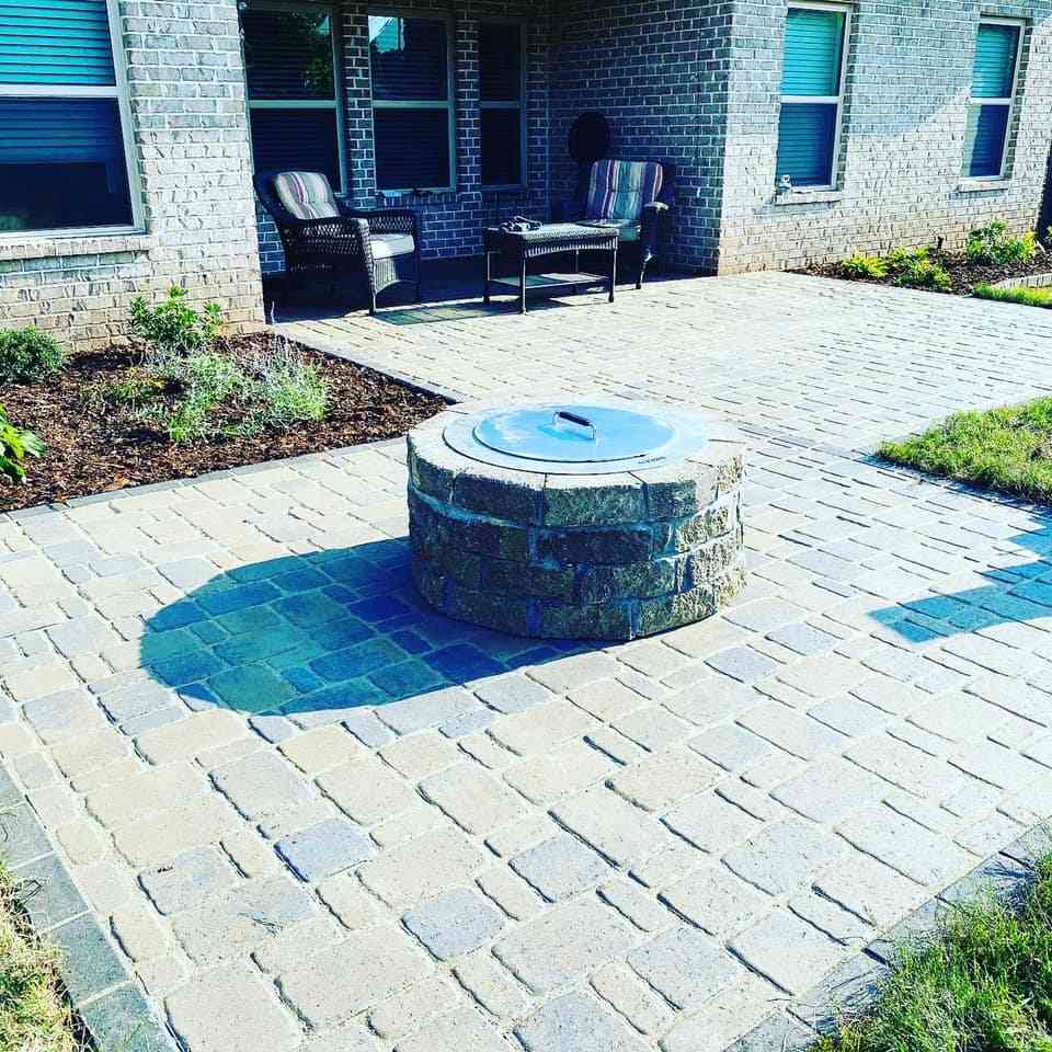 Yellow Jacket - Gallery