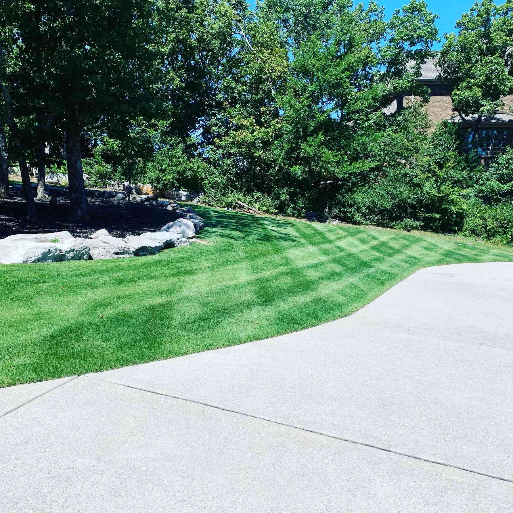 Yellow Jacket - Gallery