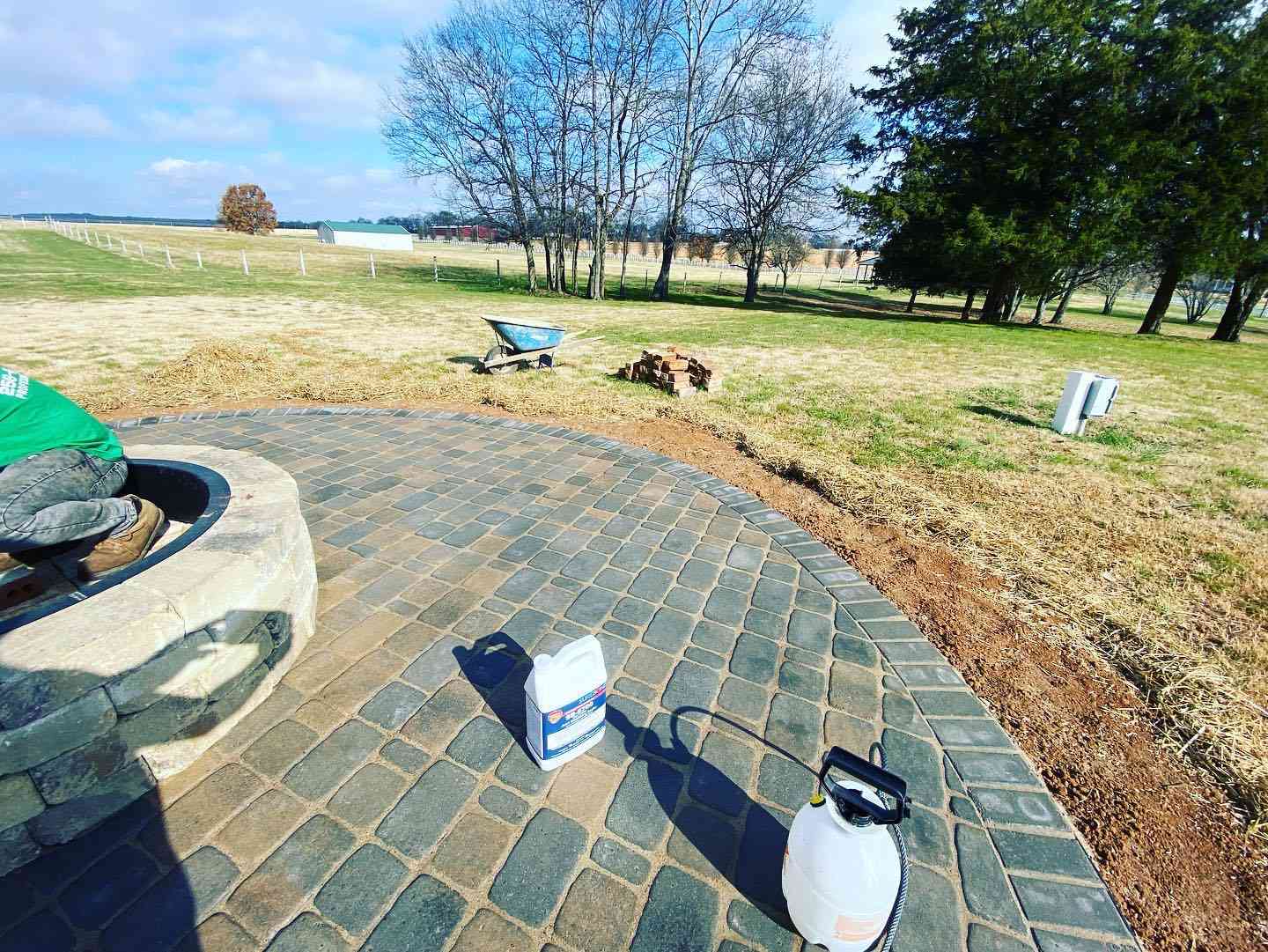 Yellow Jacket - Gallery